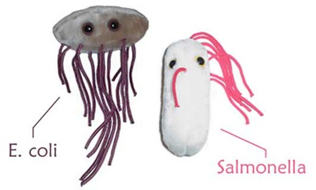 Domi Good: Stuffed Toys - Bacteria, Viruses and Parasites